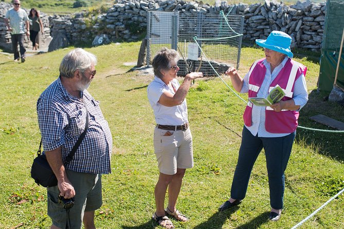 Caherconnell Fort & Sheepdog Demonstrations - A Close Look at the Experience