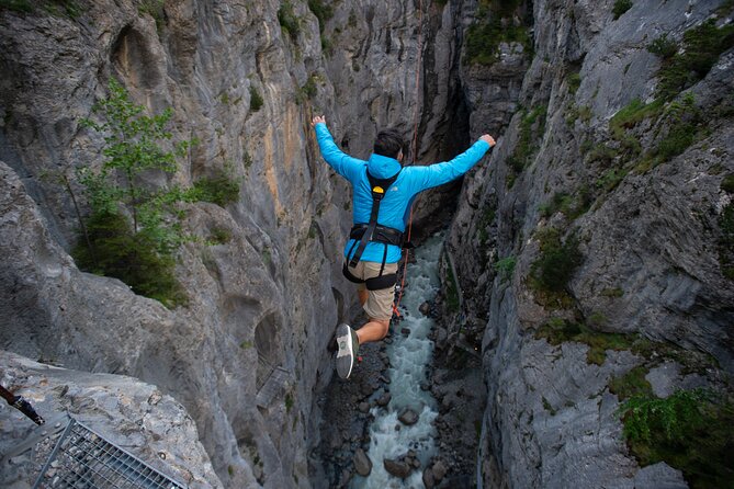 Canyon Swing with OUTDOOR - Is It Worth the Price?