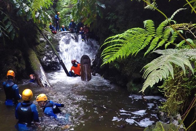 Canyoning Experience at Ribeira Grande - The Itinerary in Detail