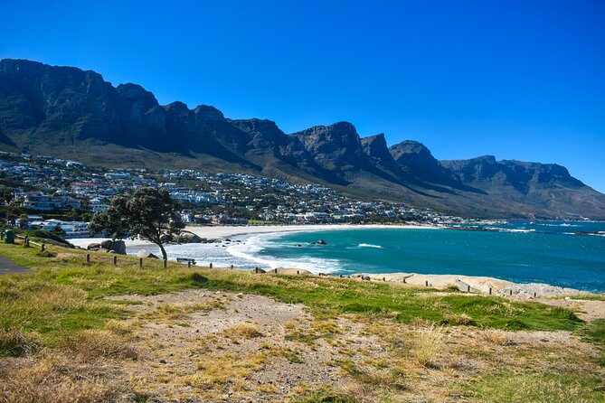Cape of Good Hope & Boulder Penguins Full-Day Tour from Cape Town - A Practical Guide to the Full-Day Cape Peninsula Experience