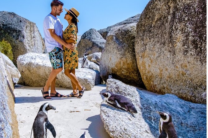 Cape of Good Hope & Penguins Small Group Tour from Cape Town - What Travelers Love & What Could Be Better
