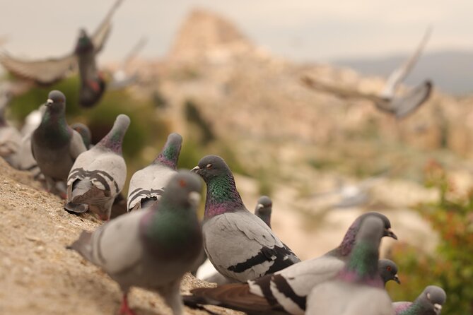 Cappadocia Private Guided Tour(Car&Licensed Guide) - Why Choose a Private Guided Tour in Cappadocia?
