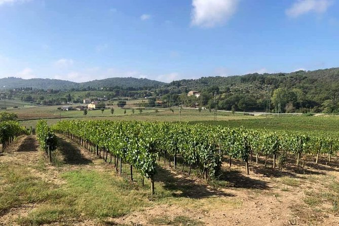 Cellar Tour & Wine Tasting - Key Points