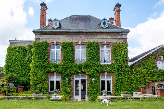 Champagne Tasting Class and Lunch near Epernay - A Walk Through Champagne History and Production