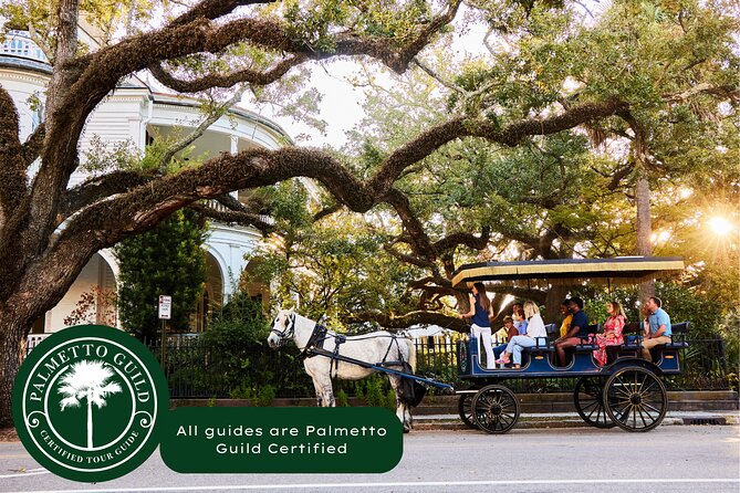 Charleston Horse-Drawn Carriage Tour: Explore Historic Charleston - What to Expect During the Tour