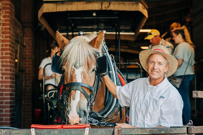 Charlestons Old South Carriage Historic Horse & Carriage Tour - Practical Tips for Your Ride