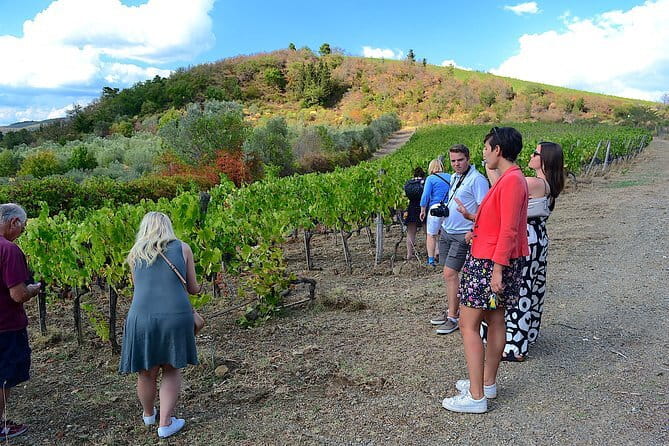 Chianti Classico and Super Tuscan 3 Winery Tour - Starting Point and Logistics