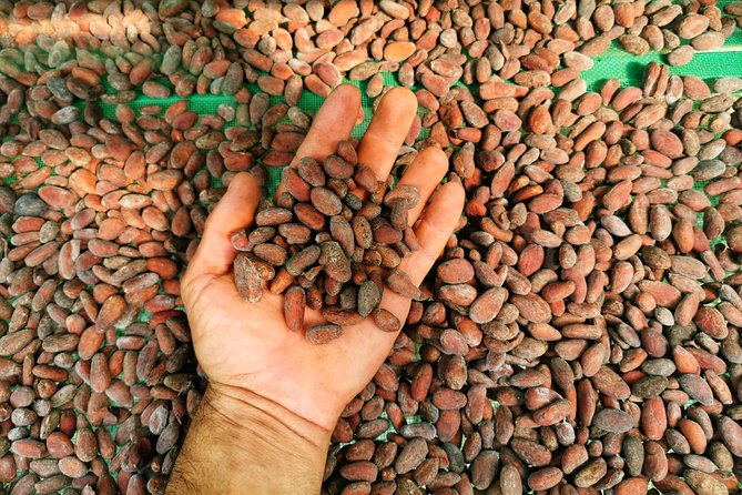 Chocolate tour manuel antonio faqs