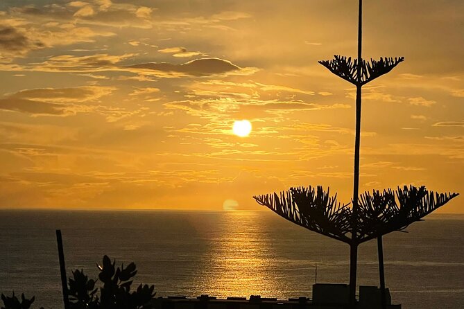 Classic car / Half day tour / Day tour / Private Tour Madeira - Discover Madeira in Style: A Practical and Personal Tour Experience