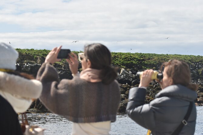 Classic Puffin Watching Cruise from Downtown Reykjavík - An Introduction to Puffin Watching from Reykjavík