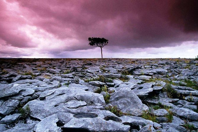 Cliffs of Moher, Aran Island & Burren tour from Galway. Guided. - Costs and Value
