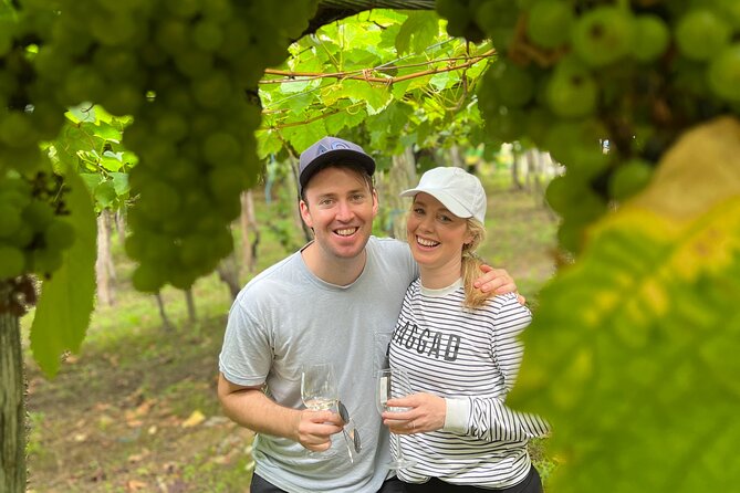Coastal "Winery Camino Trail" Walking Tour from San Sebastian - The Experience: What to Expect