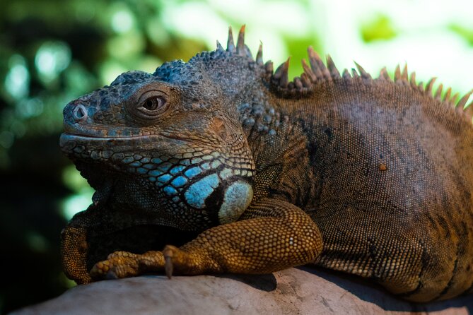 Corfu Aquarium Ticket with Tour Included - A Closer Look at the Corfu Aquarium Experience