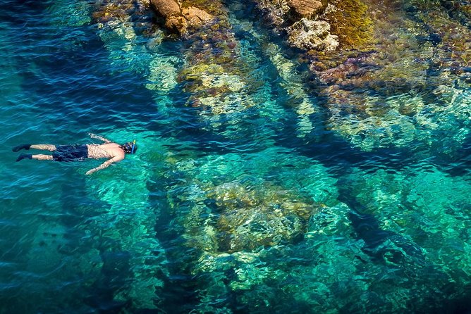 Costa Brava Day Adventure: Kayak, Snorkel & Cliff Jump with Lunch - Why This Tour Stands Out