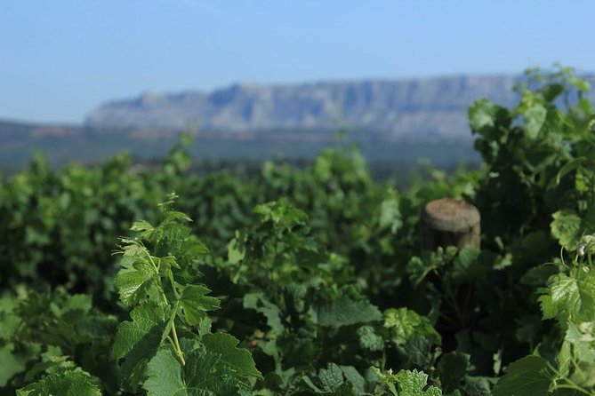 Cotes de Provence Wine Tour from Aix-en-Provence - Key Points