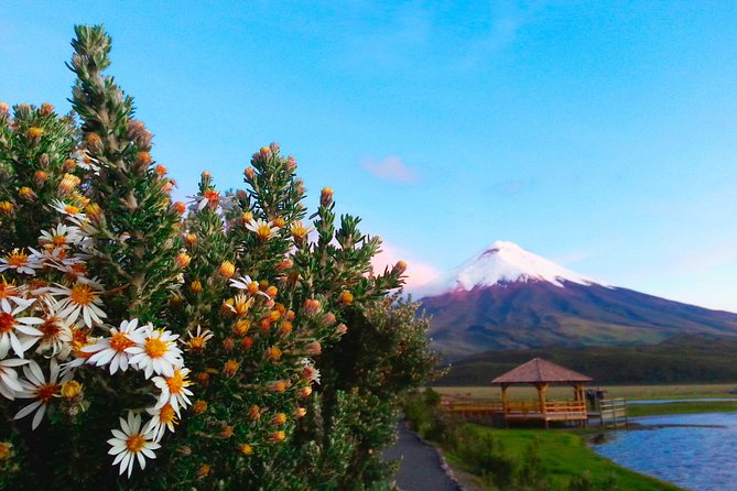 Cotopaxi Full-Day from Quito Including Entrances - Key Points