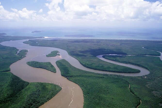 Daintree Rainforest and Cape Tribulation Full Day Tour - Key Points
