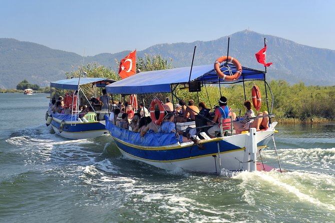 Dalyan Mud Baths and Turtle Beach Day Tour From Fethiye - Key Points