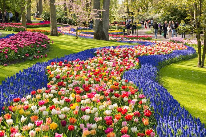 Day Trip to Keukenhof Gardens from Amsterdam with Tour Guide - The Itinerary: From Meeting Point to Floral Paradise
