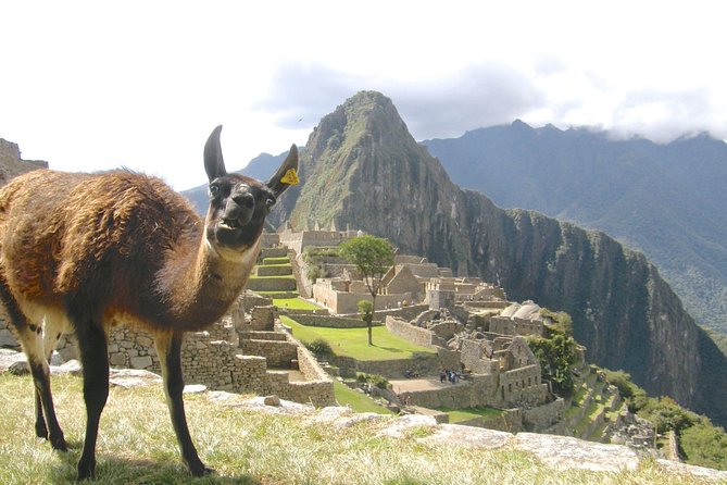 Day Trip Tour to Machu Picchu from Cusco - The Value Factor