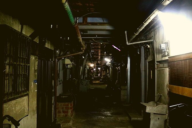 Deep Backstreet Osaka Tours (Option to add Dinner) - A Walk Through the Backstreets of Osaka: What to Expect