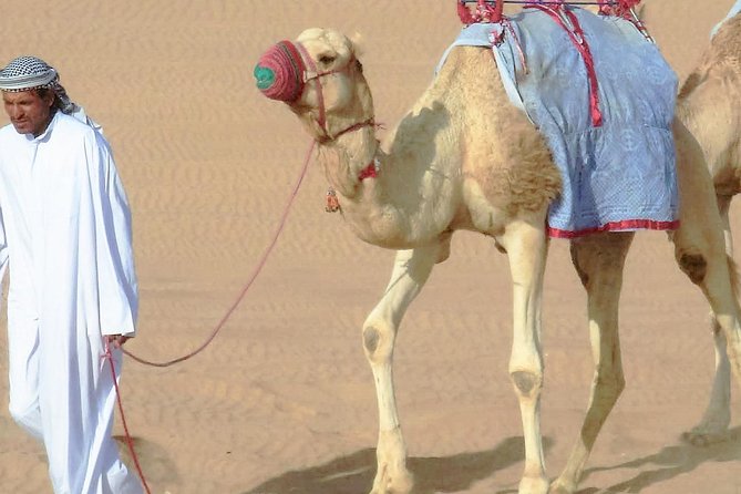 Desert safari, Dune bashing, sandboarding, camel, ATV Option - An Overview of the Desert Safari Experience