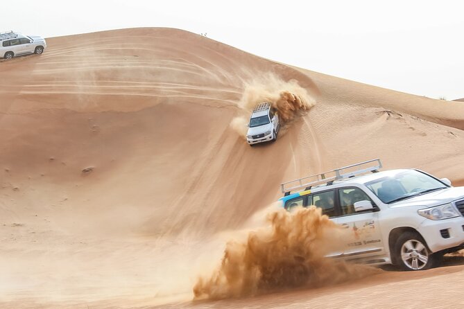 Desert Safari Experience with Dune Bashing and Dinner in Dubai - What the Tour Involves
