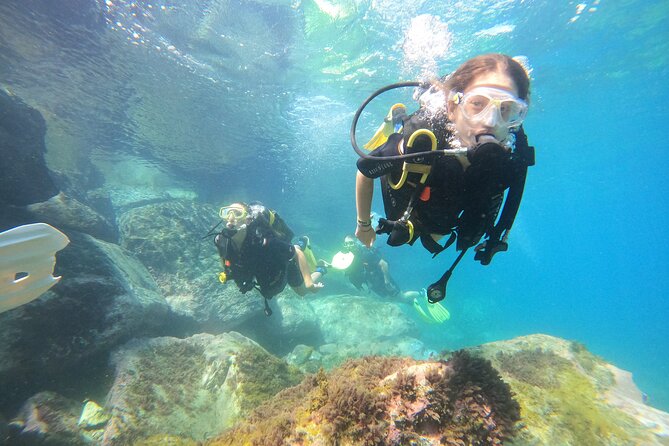 Discover Scuba Dive in Gran Canaria - Key Points