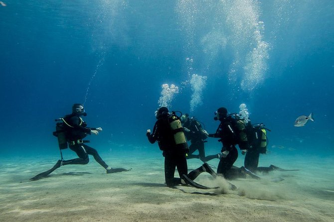 Discover Scuba Diving - What to Expect from Your Lanzarote Discover Scuba Experience