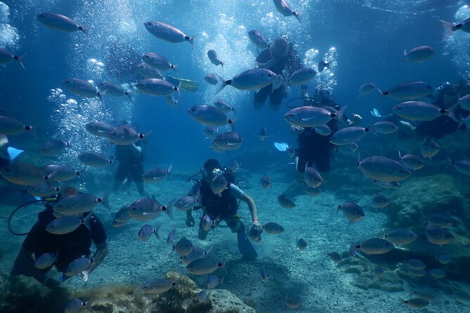 Discover Scuba Diving - Setting the Scene at Green Bay