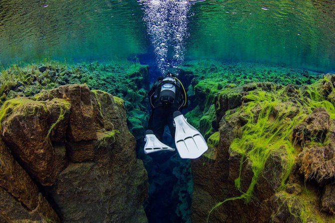Dive the Divide: Silfra Fissure Scuba Tour | Reykjavik Pickup - Key Points