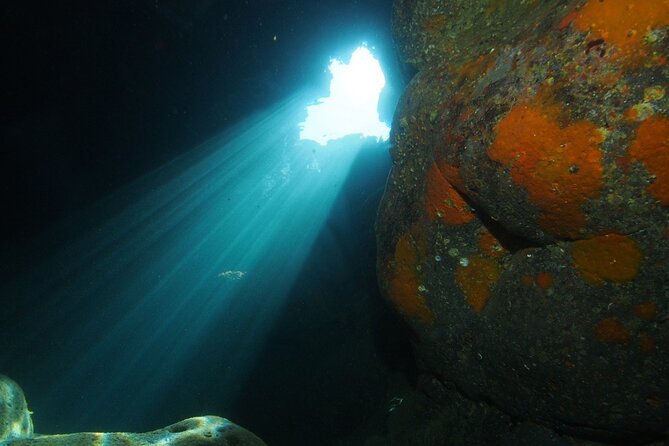 Diving guided by the Diving Center (with full equipment) - An Authentic Introduction to Sicily’s Underwater World