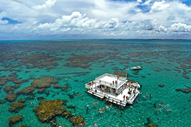 Diving in maracajau (catamaran included) from christmas van final thoughts