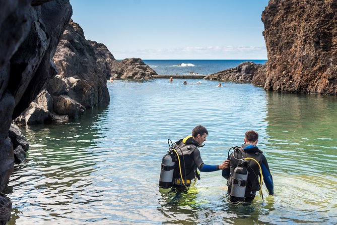 Diving in the Madeira Aquarium - The Sum Up: Is This Tour Worth It?