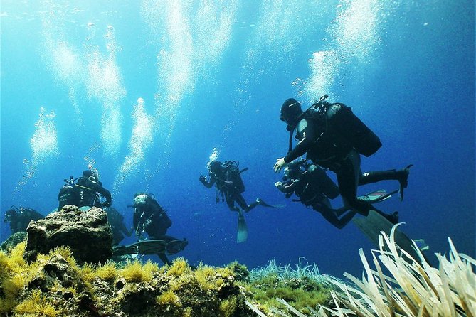 Diving with PADI 5 Star CDC Diving Resort Isola Bella Marine Park Taormina - An In-Depth Look at the Tour: What to Expect
