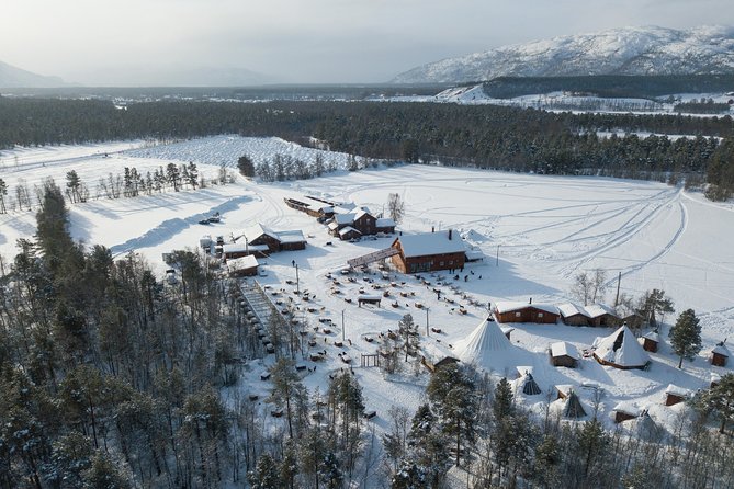 Dog Sled Tour and Husky Cuddles - What to Expect from Your Arctic Sledding Adventure
