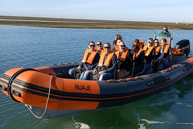 Dolphin Watching + 2 Islands Tour - From Faro - A Close Look at the Itinerary