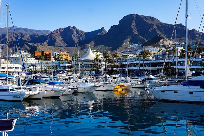 Double Tuk Tuk Tour in Costa Adeje - A Detailed Look at the Double Tuk Tuk Tour
