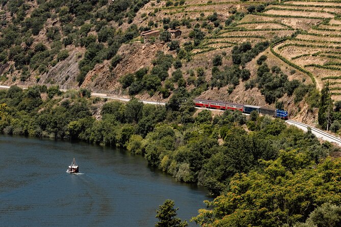 Douro Experience - Boat and Train Ride - Lunch and Wine Tasting - All Included - The Vineyard and Tasting Experience