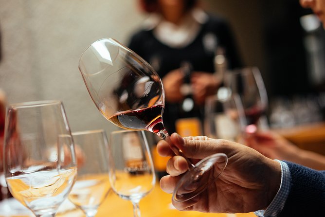 Douro Valley EXCLUSIVE Private Day Trip by Car with Boat Included - Exploring the Douro Valley’s Natural Beauty