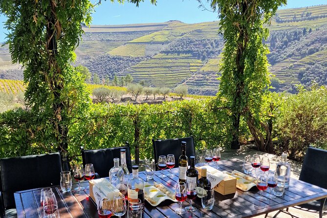 Douro Valley-Expert Guide-Boat-Lunch-Tastings Premium Service - Final Thoughts: Is This the Right Tour for You?