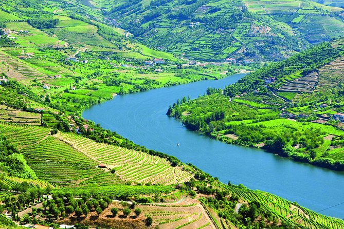 Douro Valley from Porto with Wineries, Lunch and Boat Trip - A Closer Look at the Itinerary