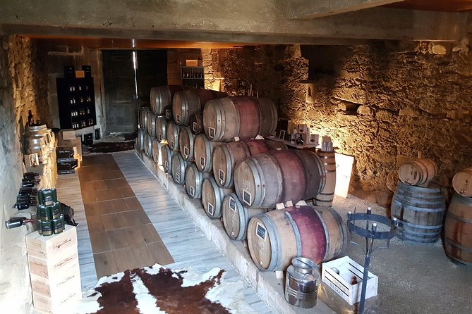 Douro Valley Tour: 2 Vineyard Visits, River Cruise, Winery Lunch - The First Stop: Visiting a Family-Owned Vineyard in Lamego