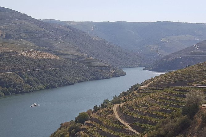 Douro Valley Tour: Wine Tasting River Cruise and Lunch from Porto - A Deep Dive into the Douro Valley Tour