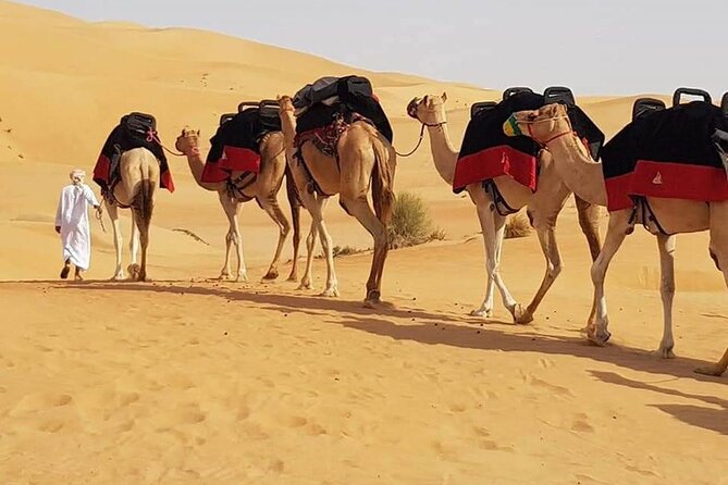 Dubai Desert Safari With Dune Bashing, Camel Ride & BBQ Dinner - An In-Depth Look at the Dubai Desert Safari Experience
