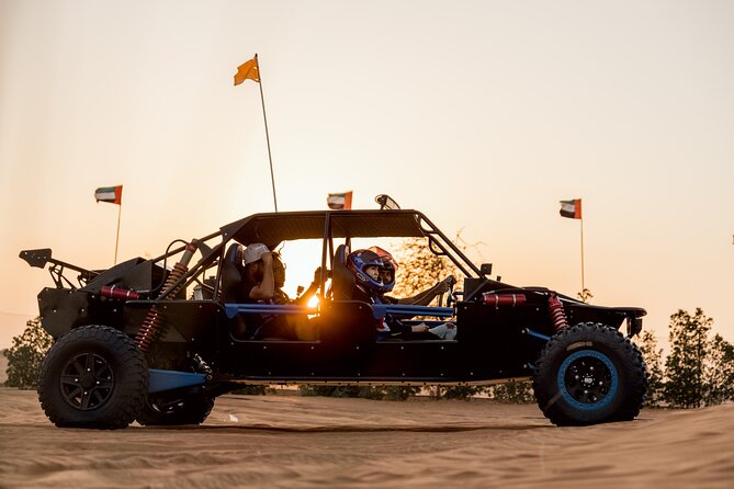 Dubai Dune Buggy Safari Tour in Red Dunes Options - What You Can Expect from the Dubai Dune Buggy Safari