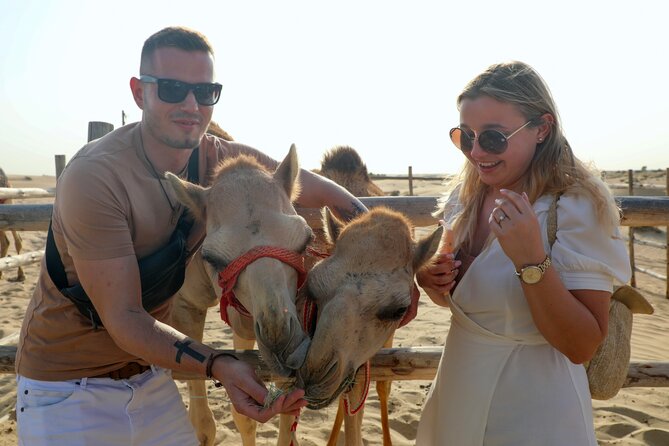 Dubai Evening Heritage Safari by Vintage G Class Al Marmoom Oasis - Detailed Itinerary Breakdown