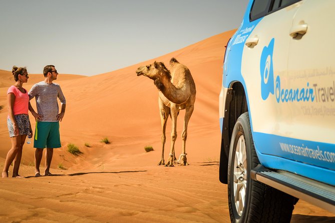 Dubai: Half-Day Desert Safari, Camels, Quad Bike & Refreshments - The Itinerary: What to Expect at Each Stop
