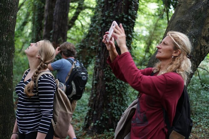 Dublin Coastal Hike with Howth Adventures - A Closer Look at the Itinerary