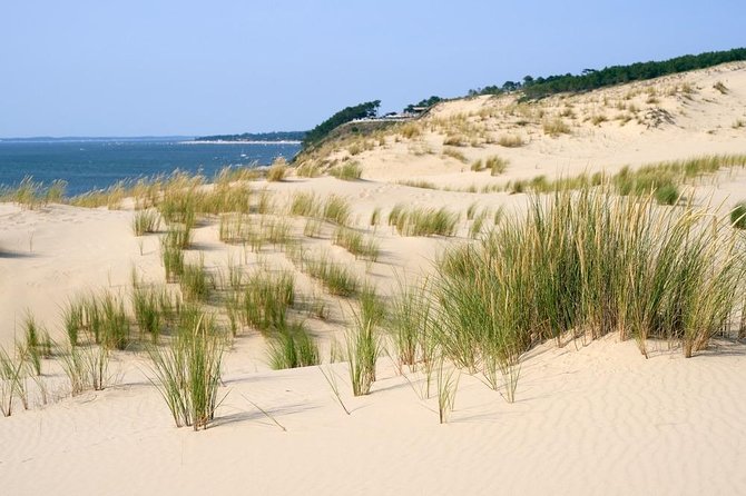 Dune du Pilat and Oysters Tasting in only 1 hour away from Bordeaux ! What else? - A Deep Dive into the Experience